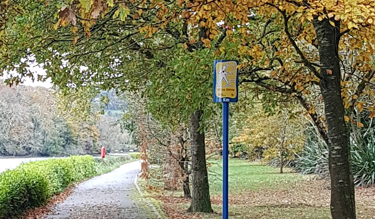 Irish Heart sli_intro - Irish Heart