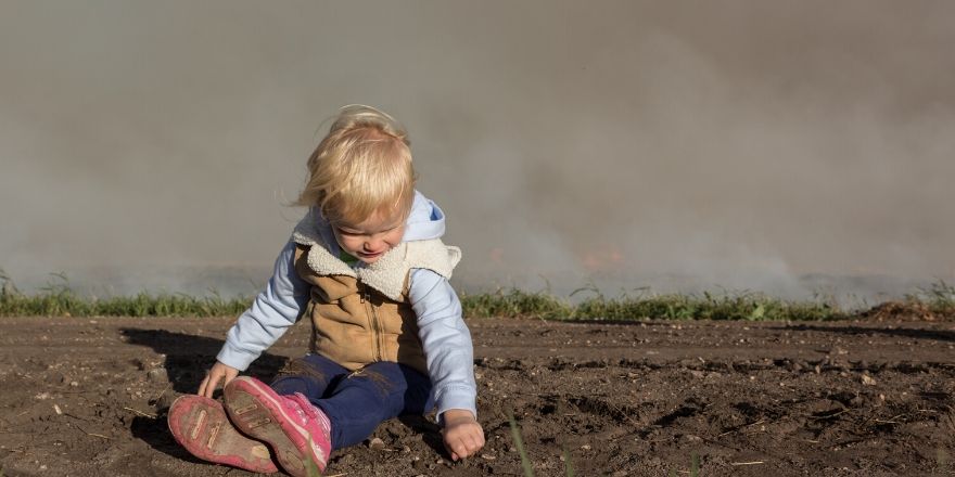 Irish Heart Air pollution caused 1,300 deaths in 2019 - Irish Heart