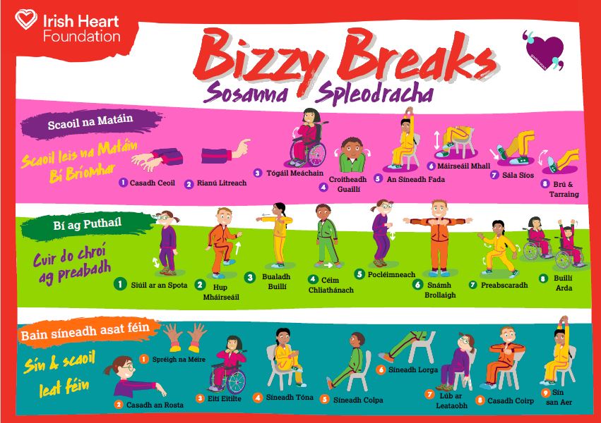 Irish Heart Póstaer - Poster (Bizzy as Gaeilge) - Irish Heart